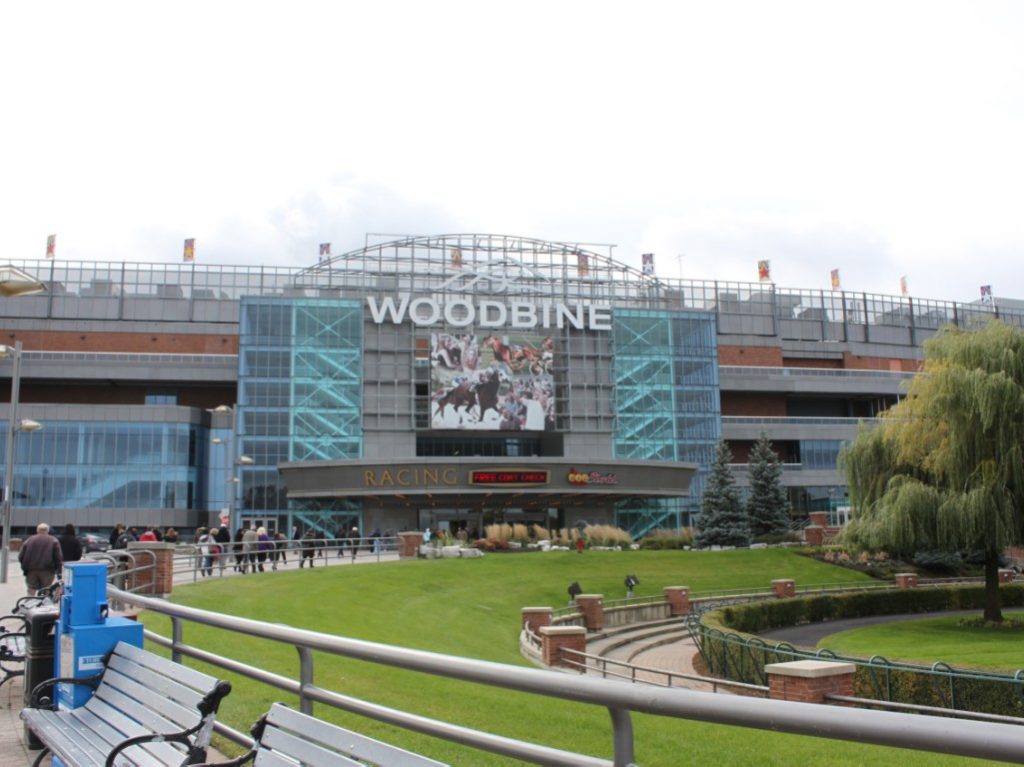 Today’s Free Horse Picks – Sunday, June 21st 2026