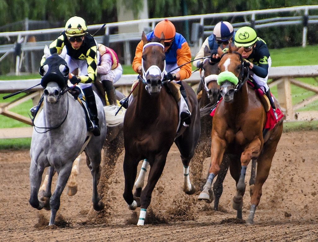 Today’s Free Horse Picks – Tuesday, March 3rd 2026